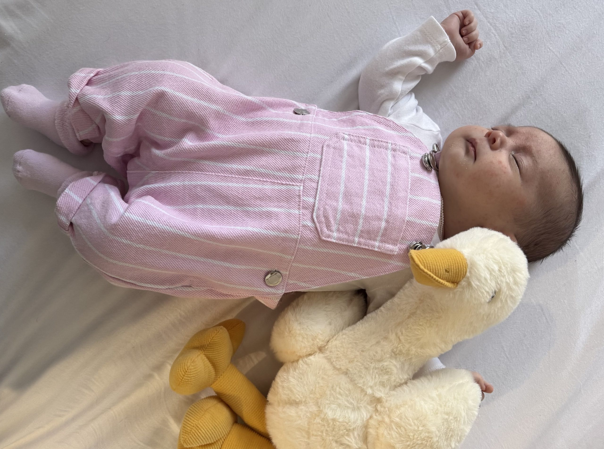 How One Tiny Human Changed Everything - Goldsborough Financial Services